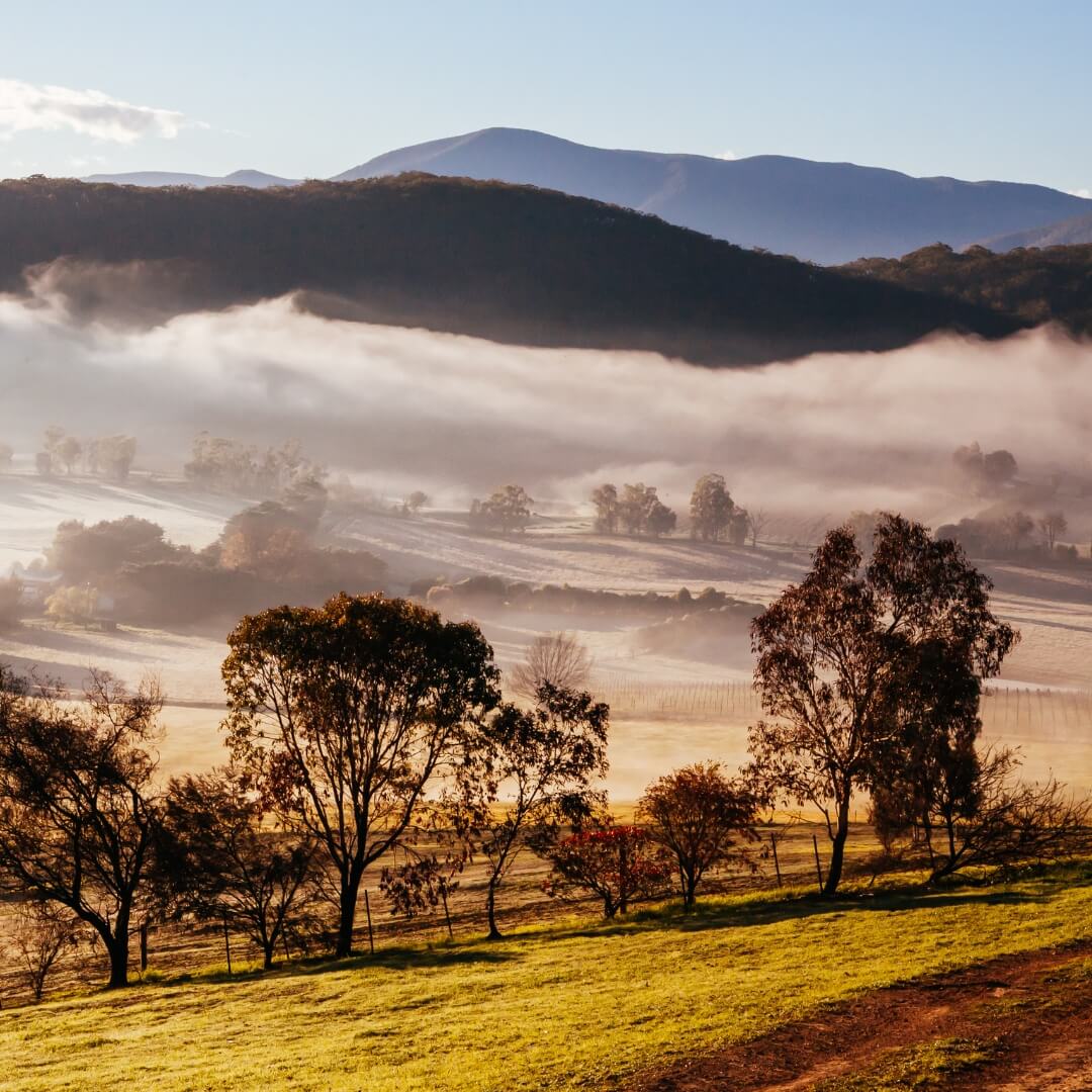 Energy Market Wrap: May 2025 - Flow Power